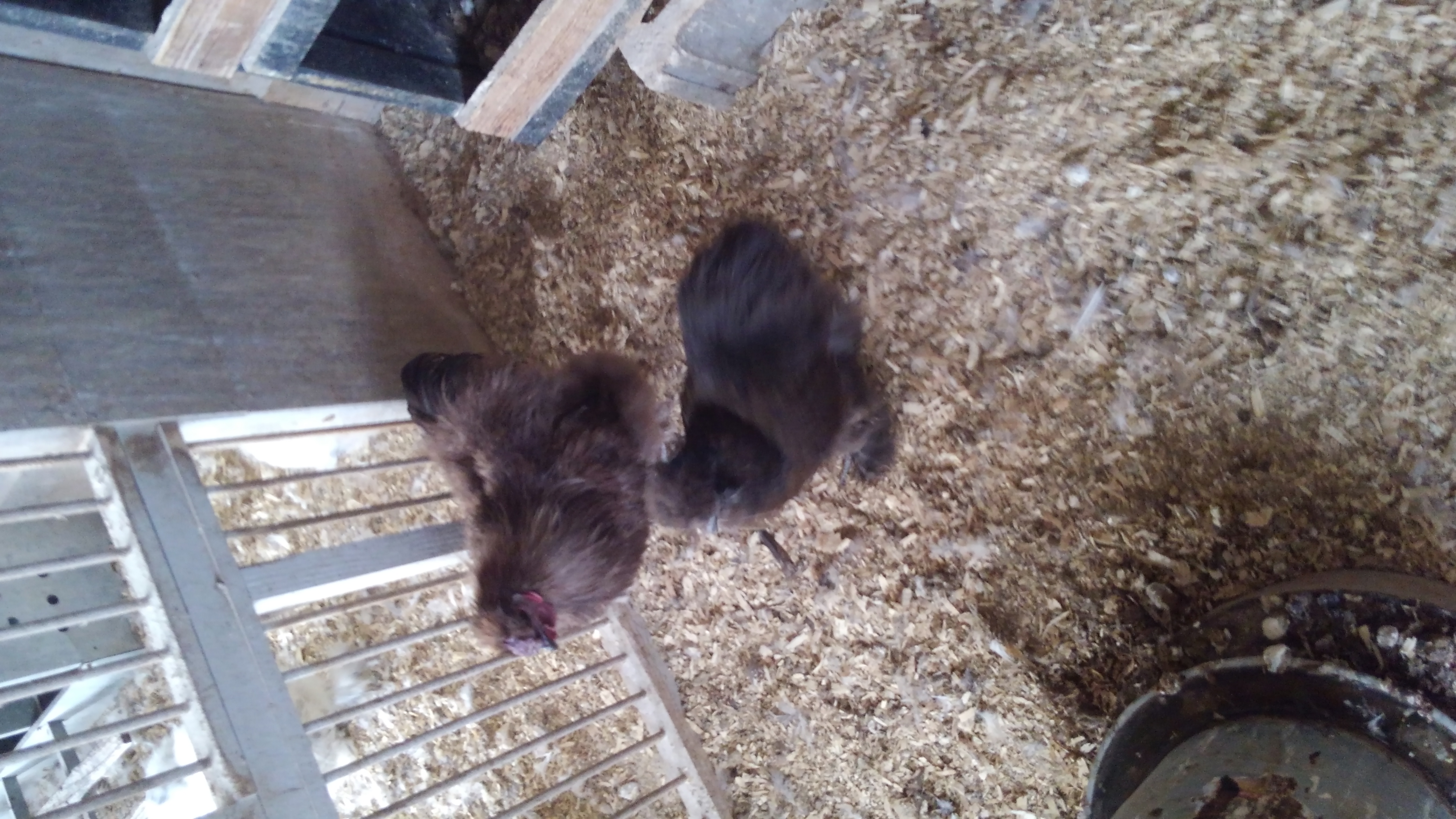 Double T Farm