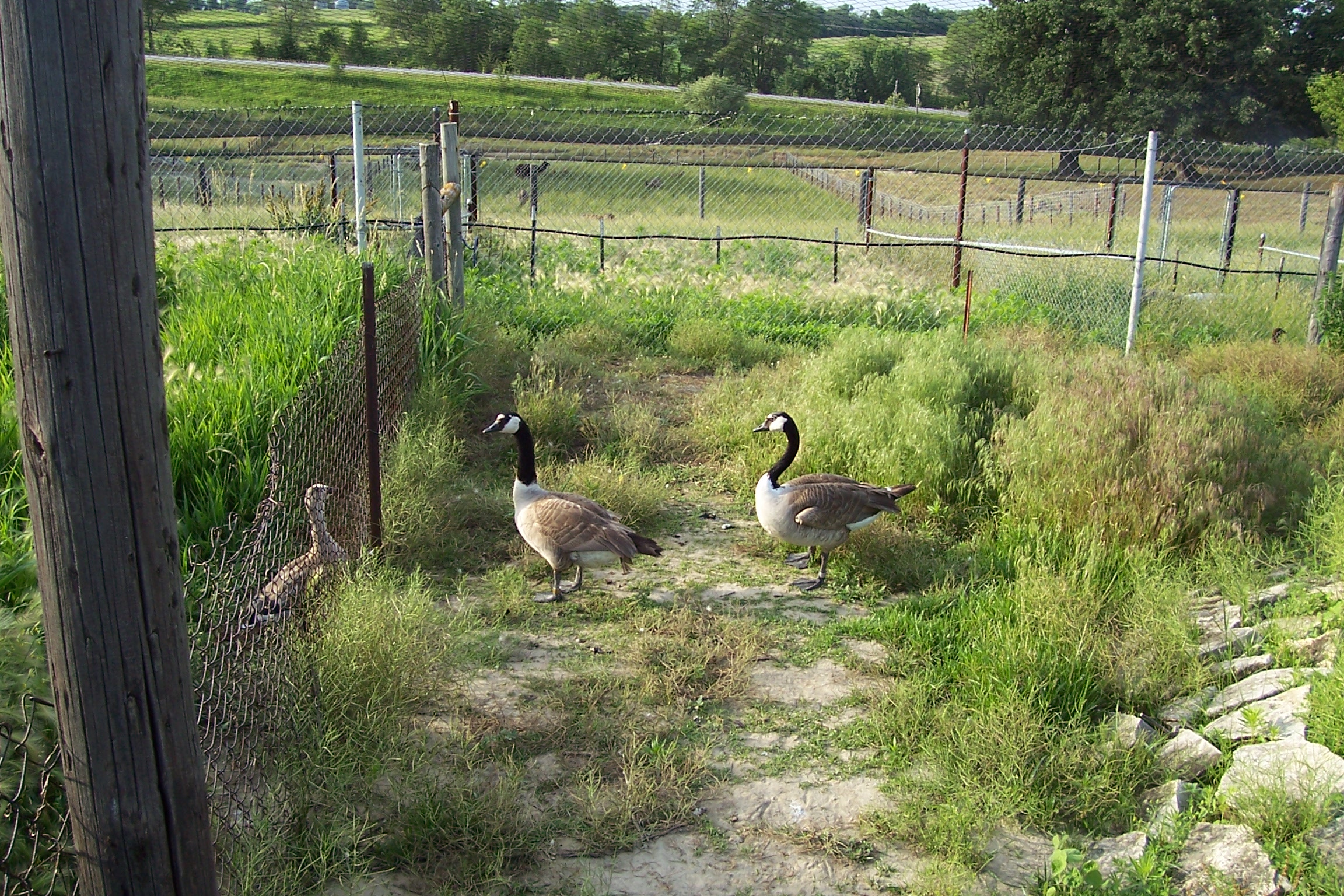 Double T Farm